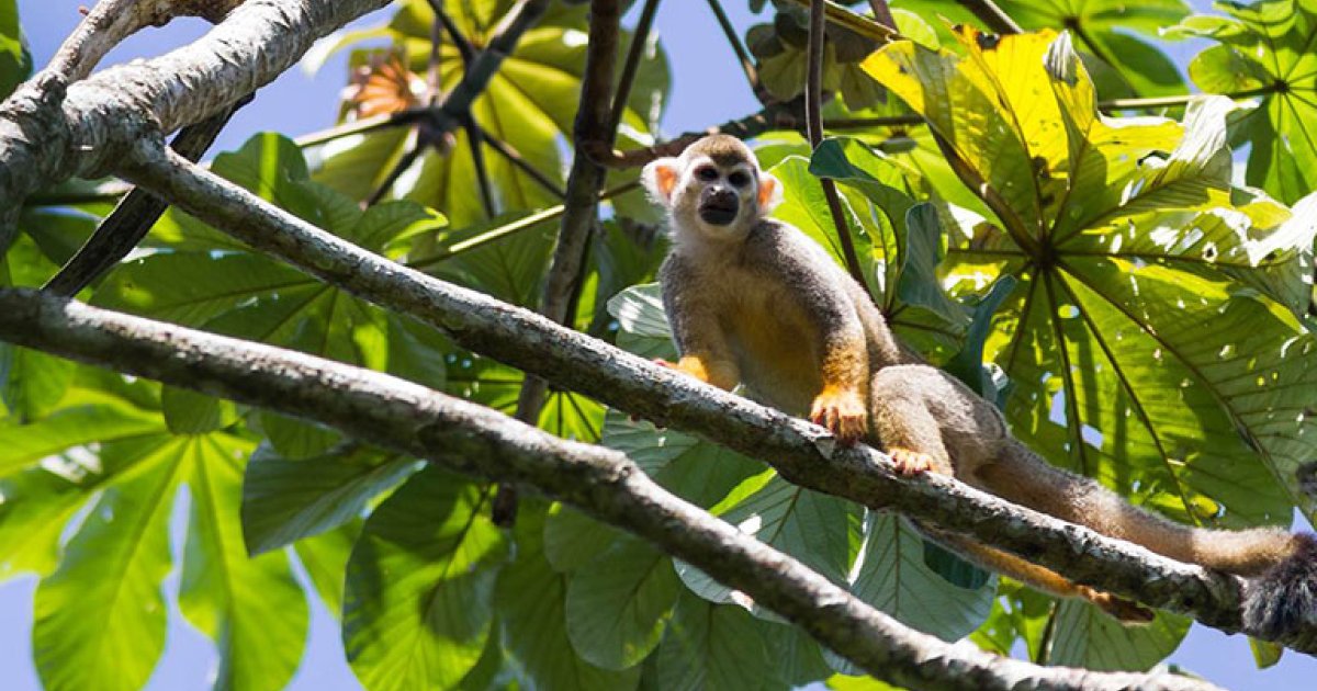 2014 - Peperpot, Nature Park Tales, Trails & Treasures - Nationale ...